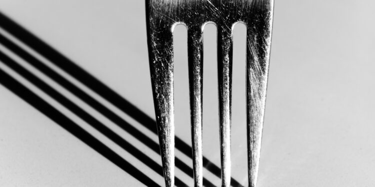 The History Behind the Fork – Past Pedia